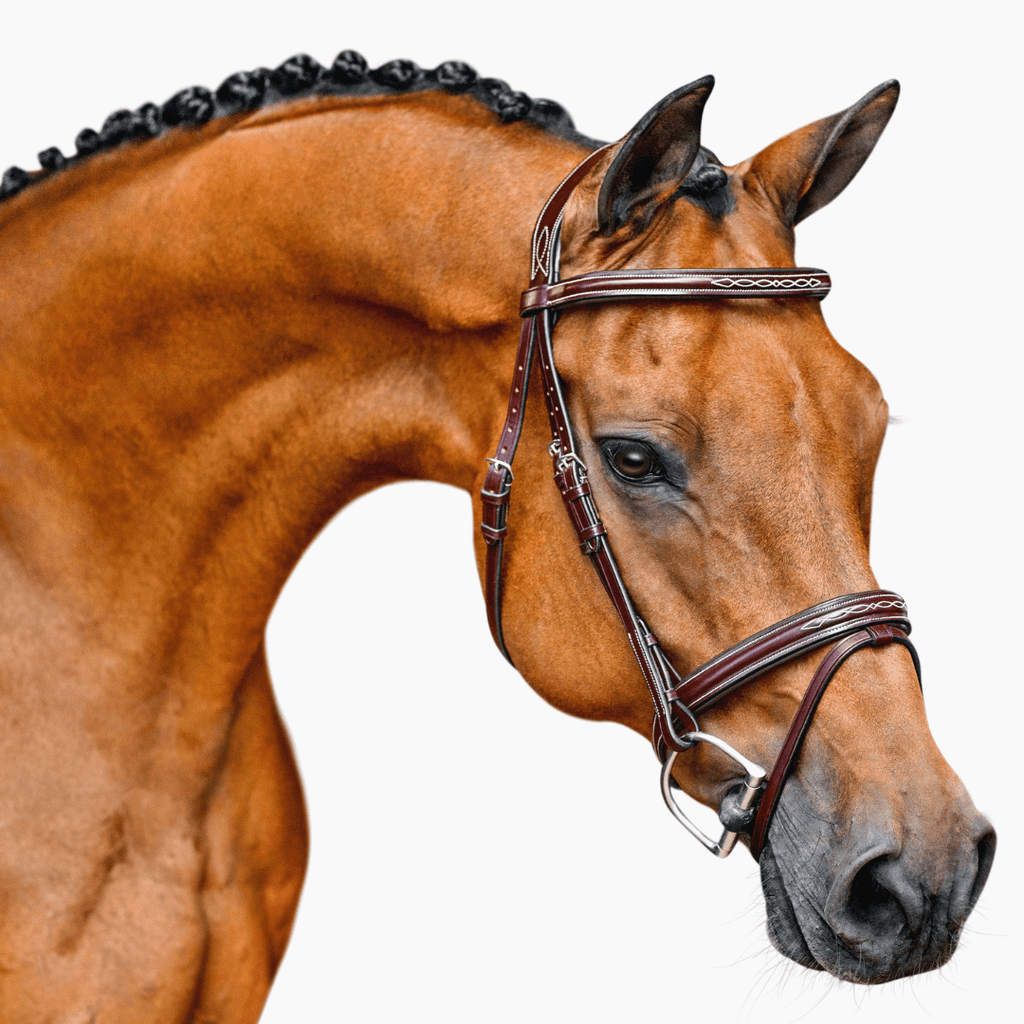 Hunter/Jumper Bridles – Solo Equine Inc
